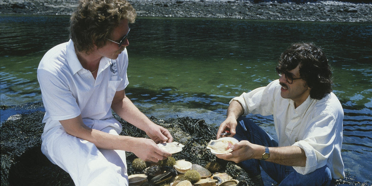 Press Release: New Partners at Browne Trading Company | Browne Trading ...