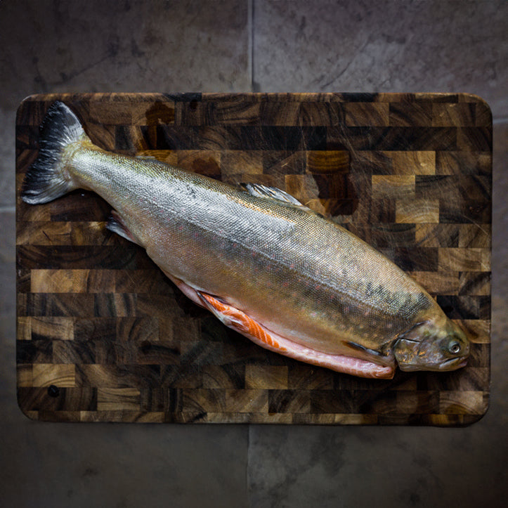 Arctic Char - Fresh Whole Fish or Fillet - Buy Online - Next Day Deli