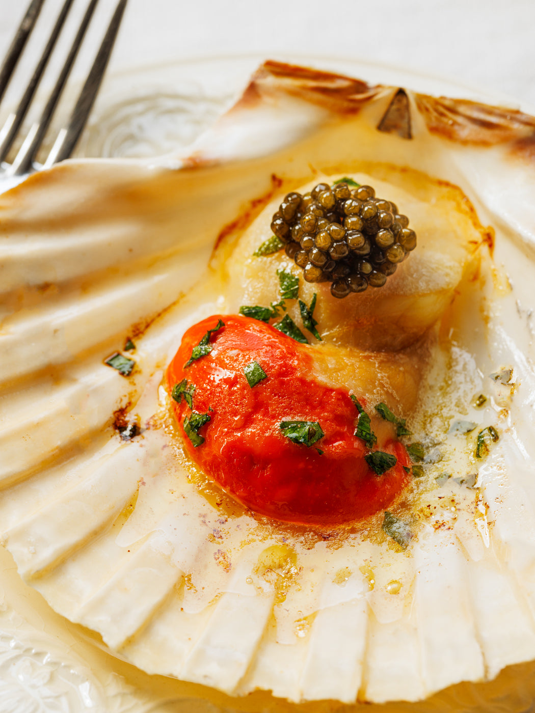 Half-Shell Scallop with Roe | Browne Trading Company