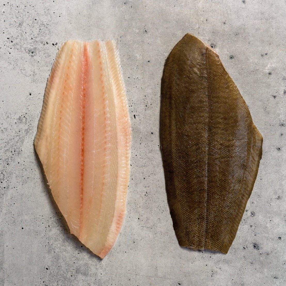 Wild Dover Sole - Whole & Fillet - Buy Online - Next Day Delivery