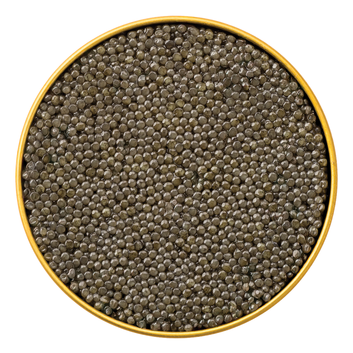Paddlefish Caviar (Spoonbill) - Buy American Caviar Online