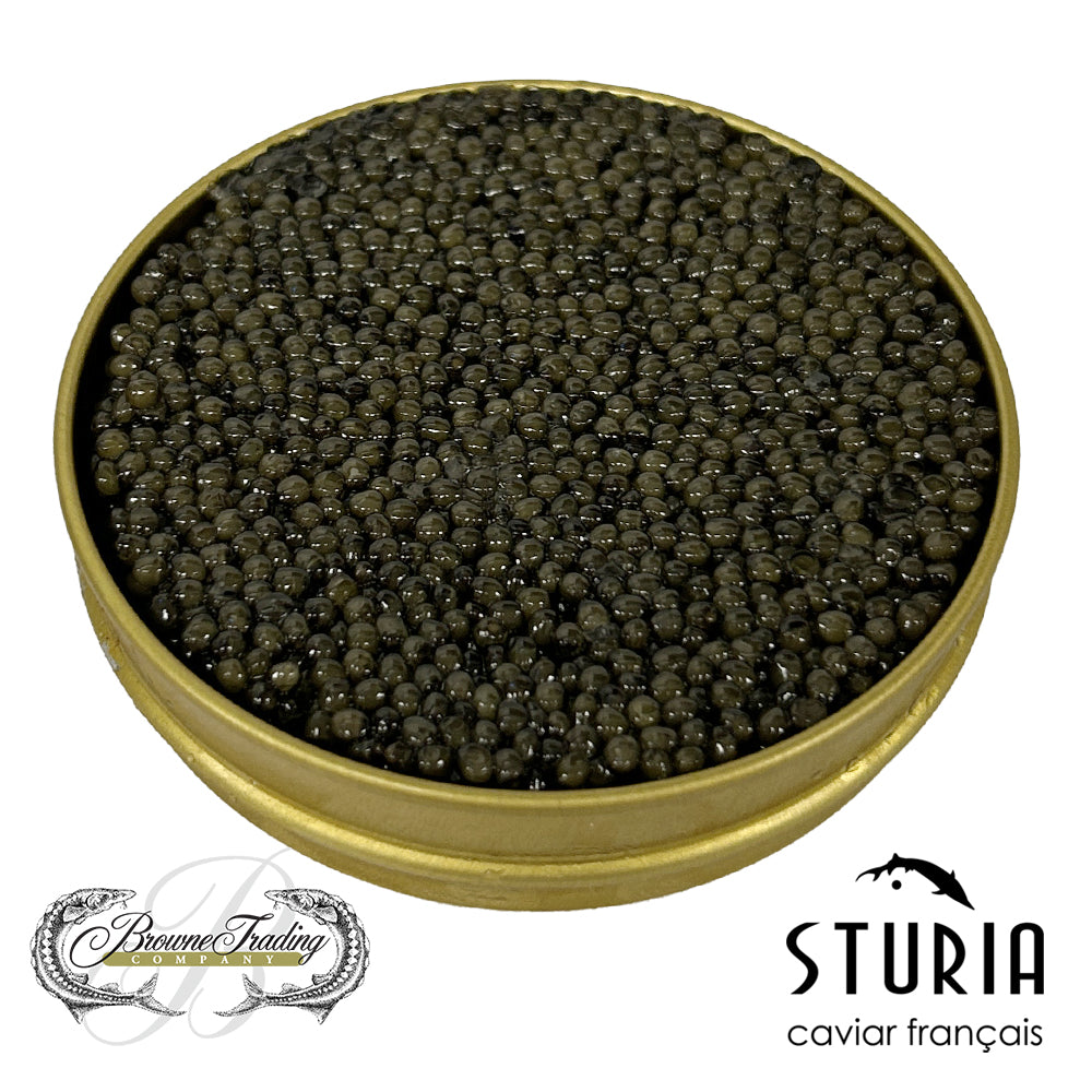 Sturia Premier Osetra Caviar | Browne Trading Company