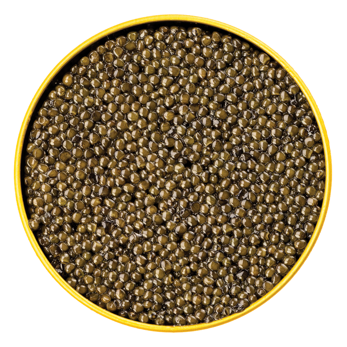 Sturia Premier Osetra Caviar | Buy Online | Next Day Delivery