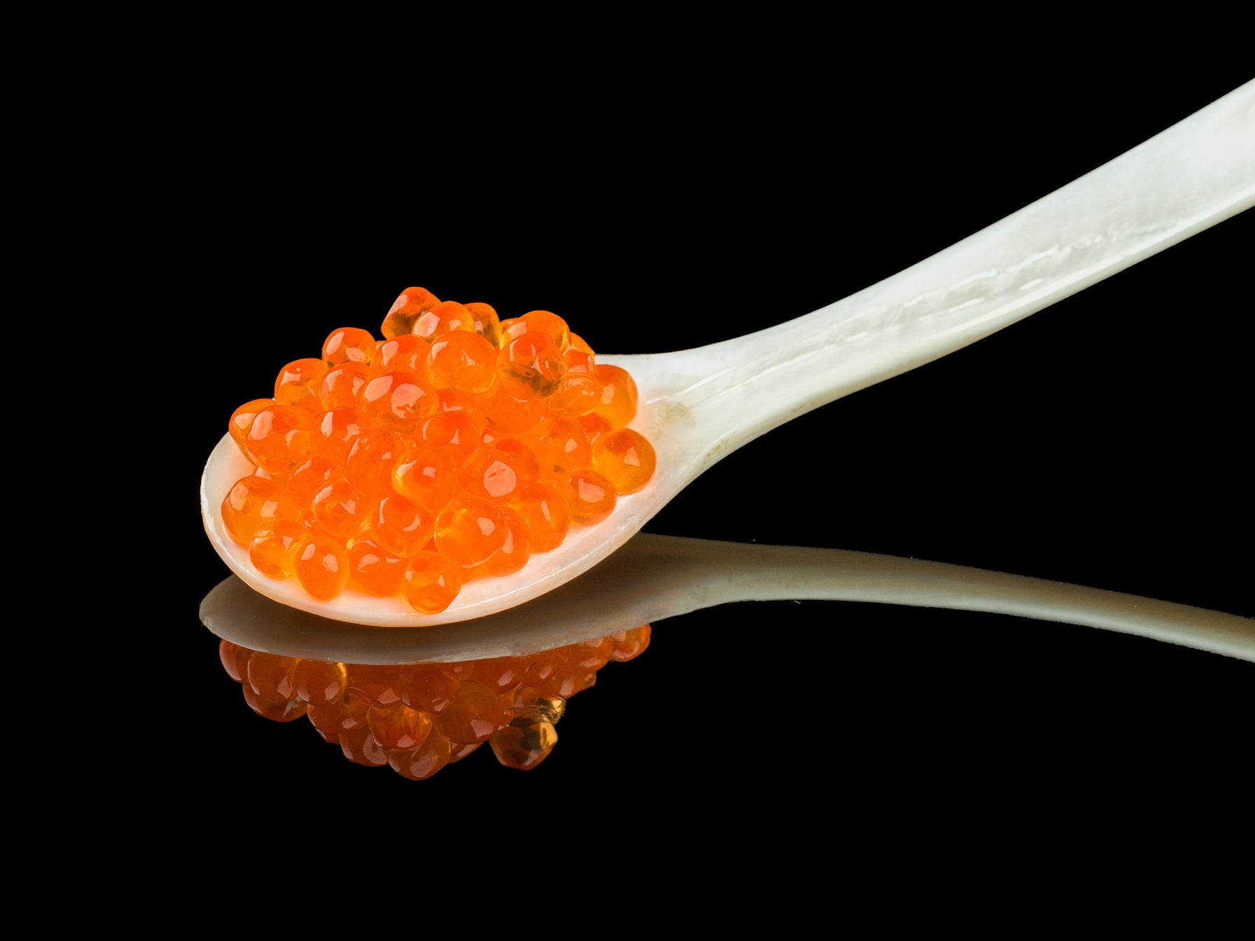 Sea Trout Roe | Browne Trading Company