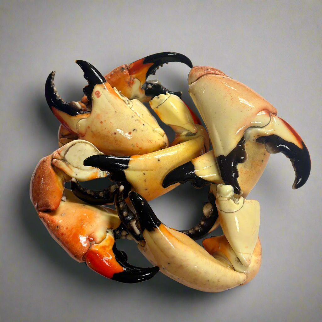 Stone Crab Claws | Buy Online - Next Day Delivery