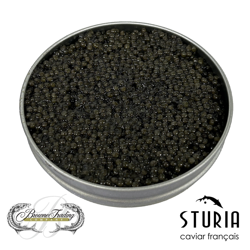Sturia Classic Osetra Caviar | Browne Trading Company