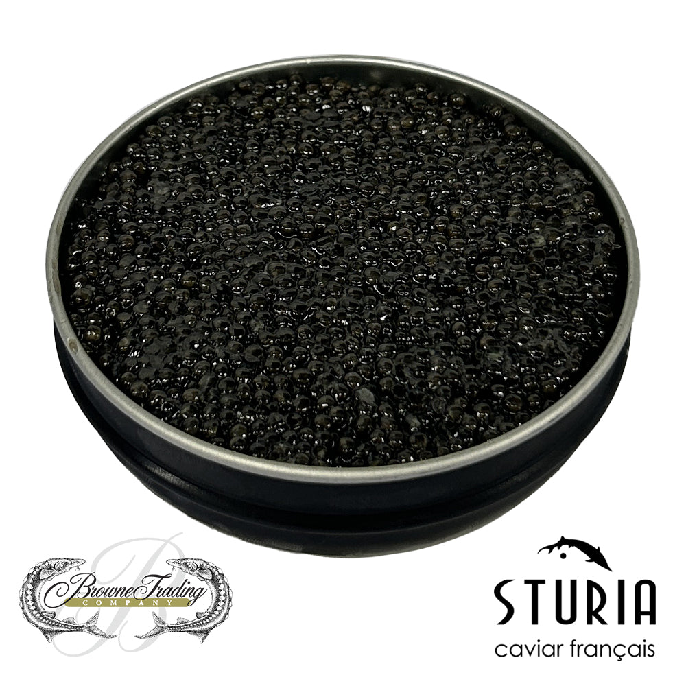 Sturia Classic Siberian Caviar | Browne Trading Company