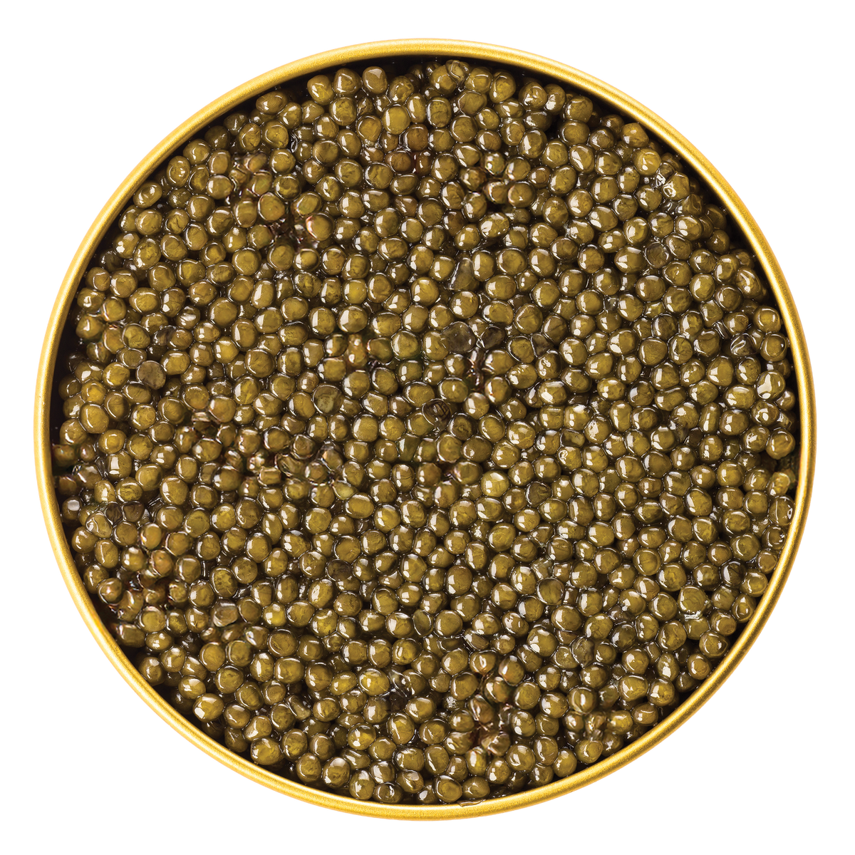 Thesauri Osetra Caviar | Order Online | Ship Overnight