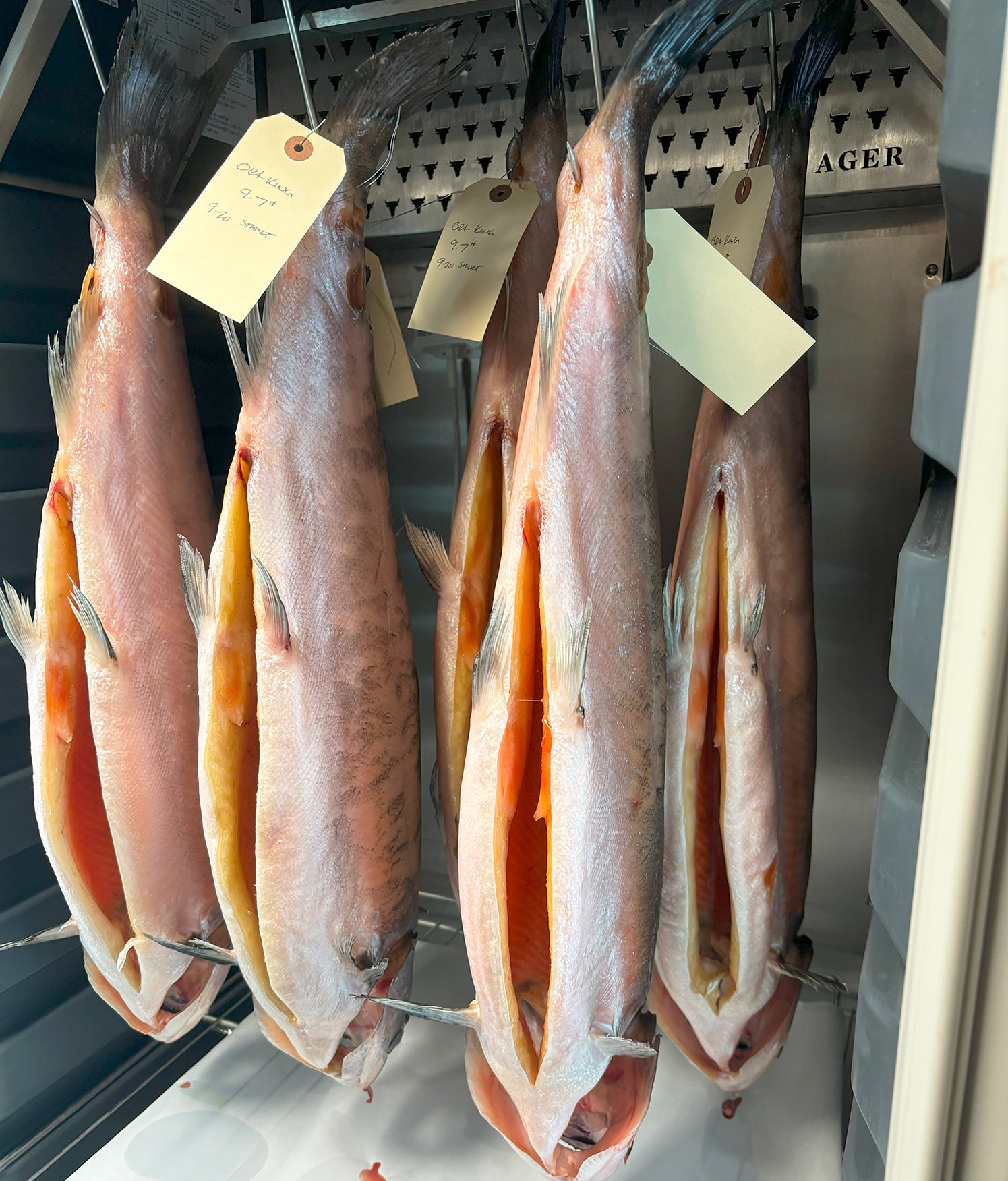 Ora King Salmon | Browne Trading Company