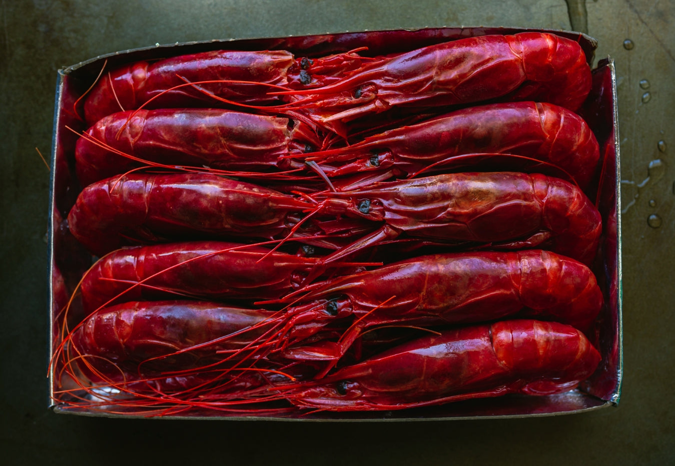 Carabineros Prawns - Buy Online - Next Day Delivery