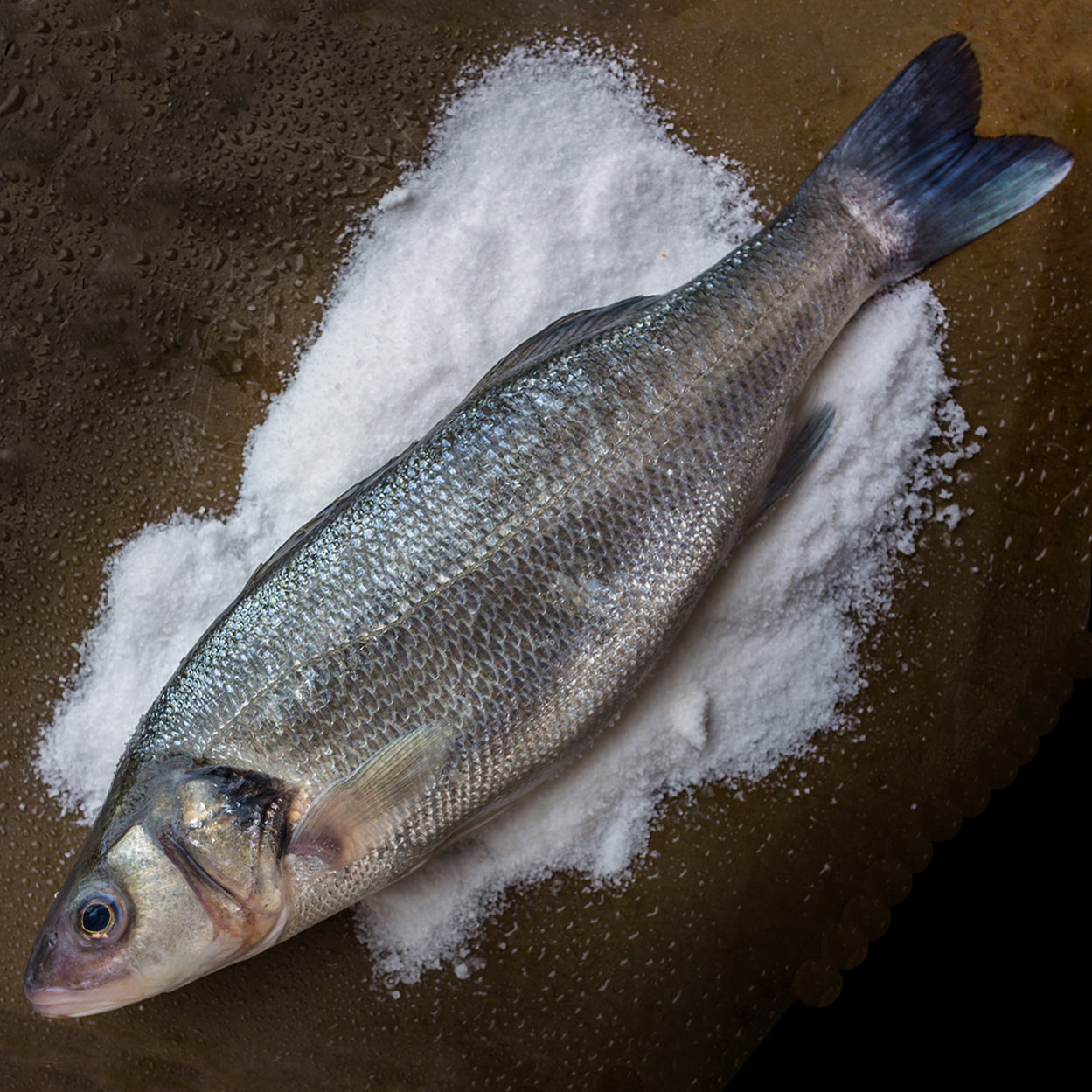 Lubina – Spanish Sea Bass from Esteros Lubimar