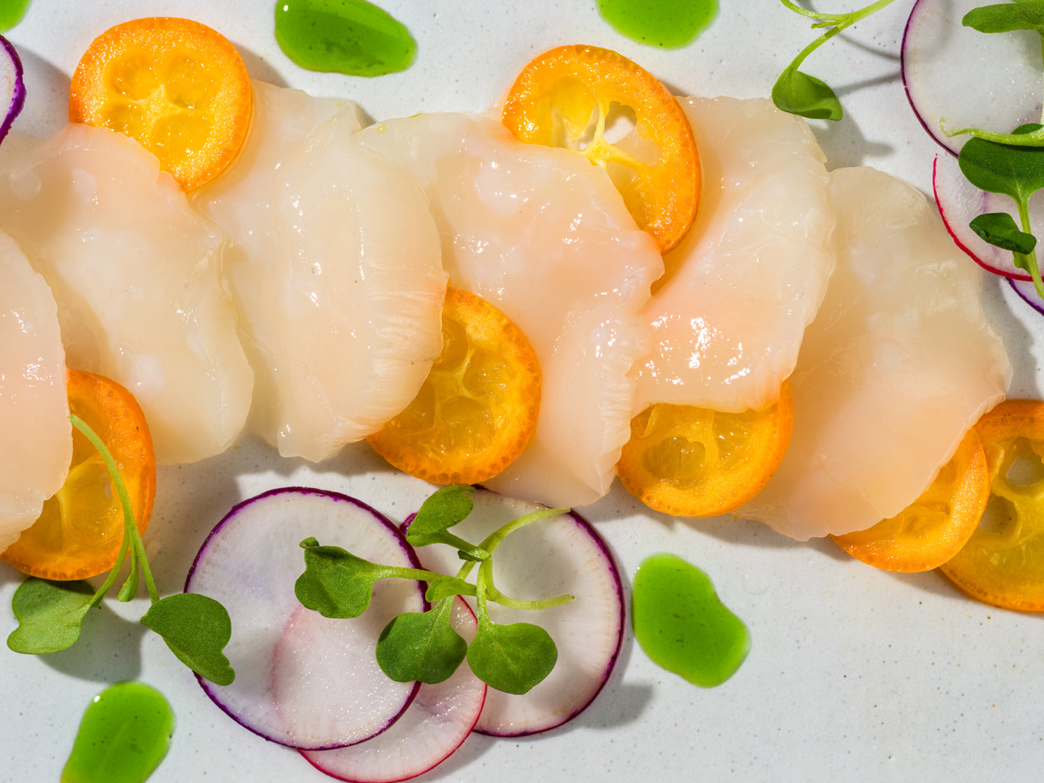 Maine Diver Scallops | Hand-harvested for Next Day Delivery