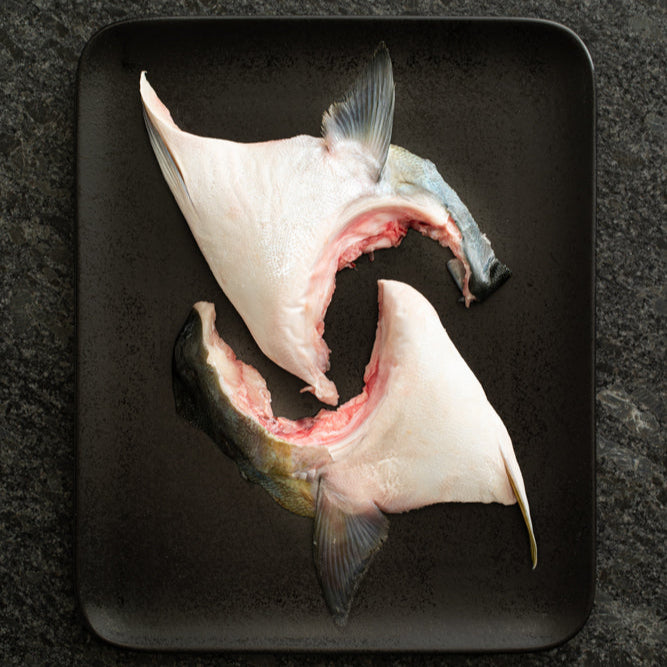 Hamachi Collar | Browne Trading Company
