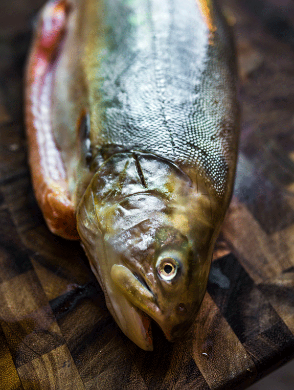 Arctic Char - Fresh Whole Fish or Fillet - Buy Online - Next Day Deli