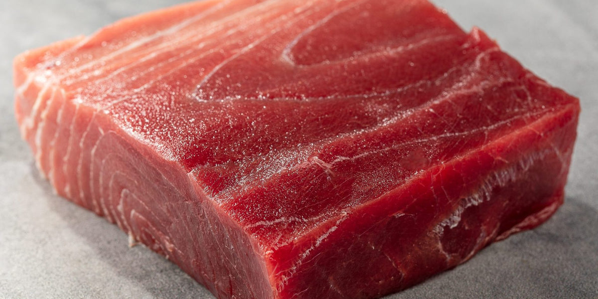 Frozen Bluefin Tuna Block | Browne Trading Company