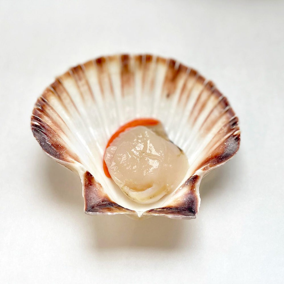 Half-Shell Scallop with Roe | Browne Trading Company
