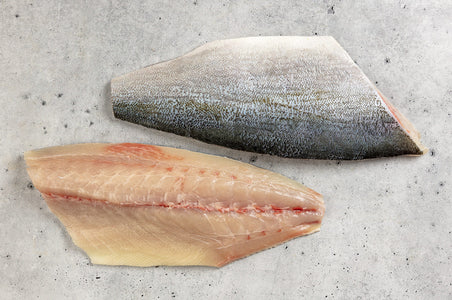Hiramasa (True Yellowtail) - Fillet - Buy Online - Next Day Delivery