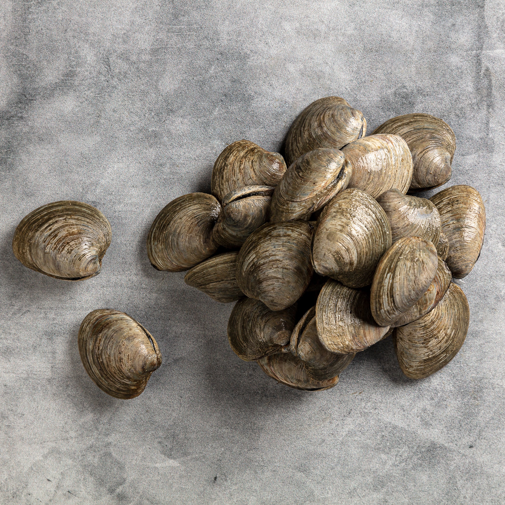 Littleneck Clams | Browne Trading Company