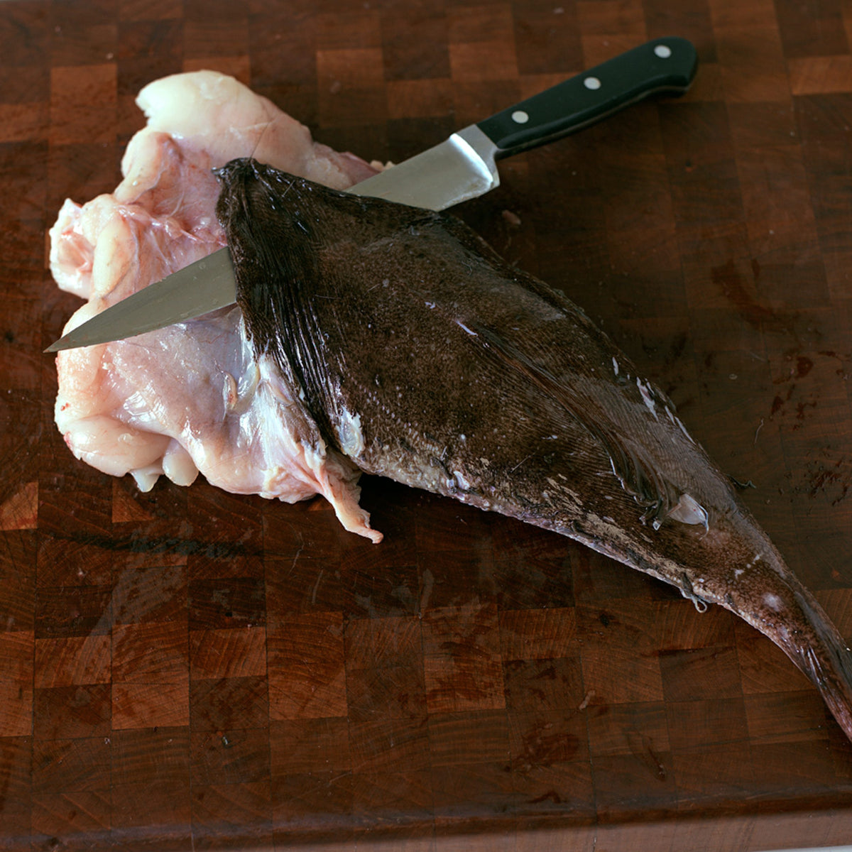 Monktail Fillet | Browne Trading Company