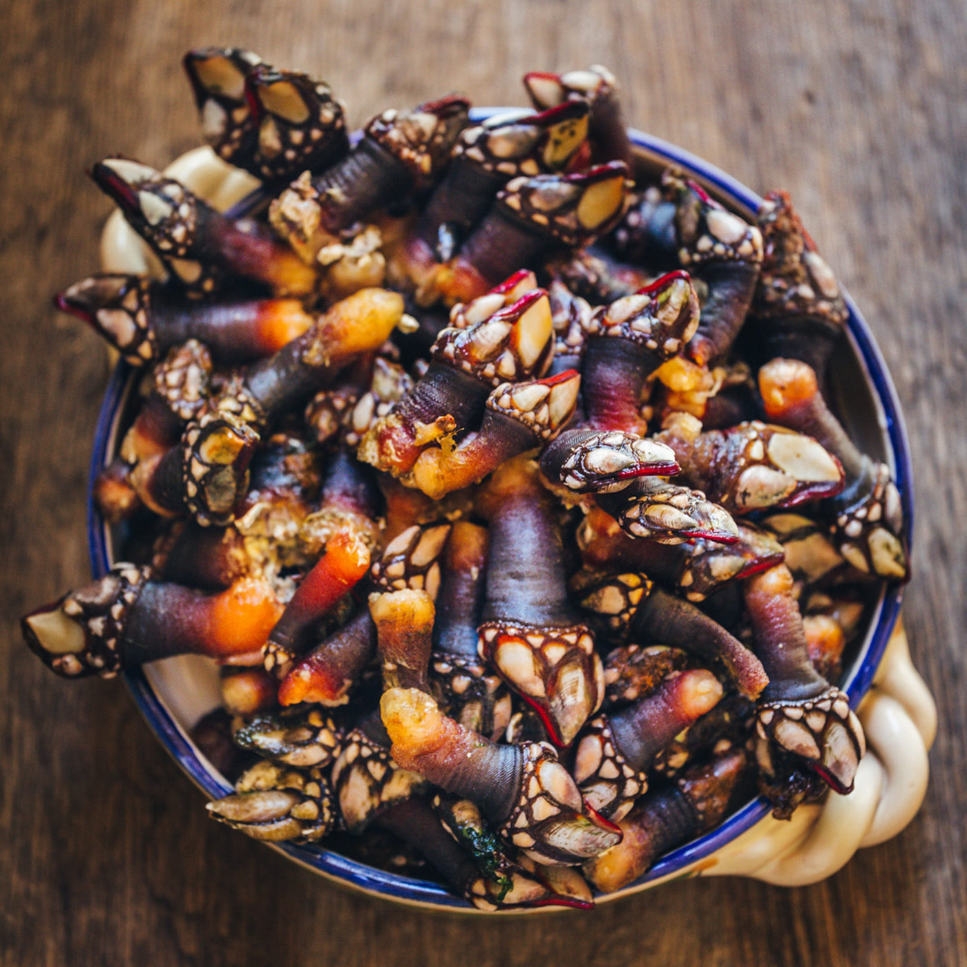 Percebes Gooseneck Barnacles | Browne Trading Company