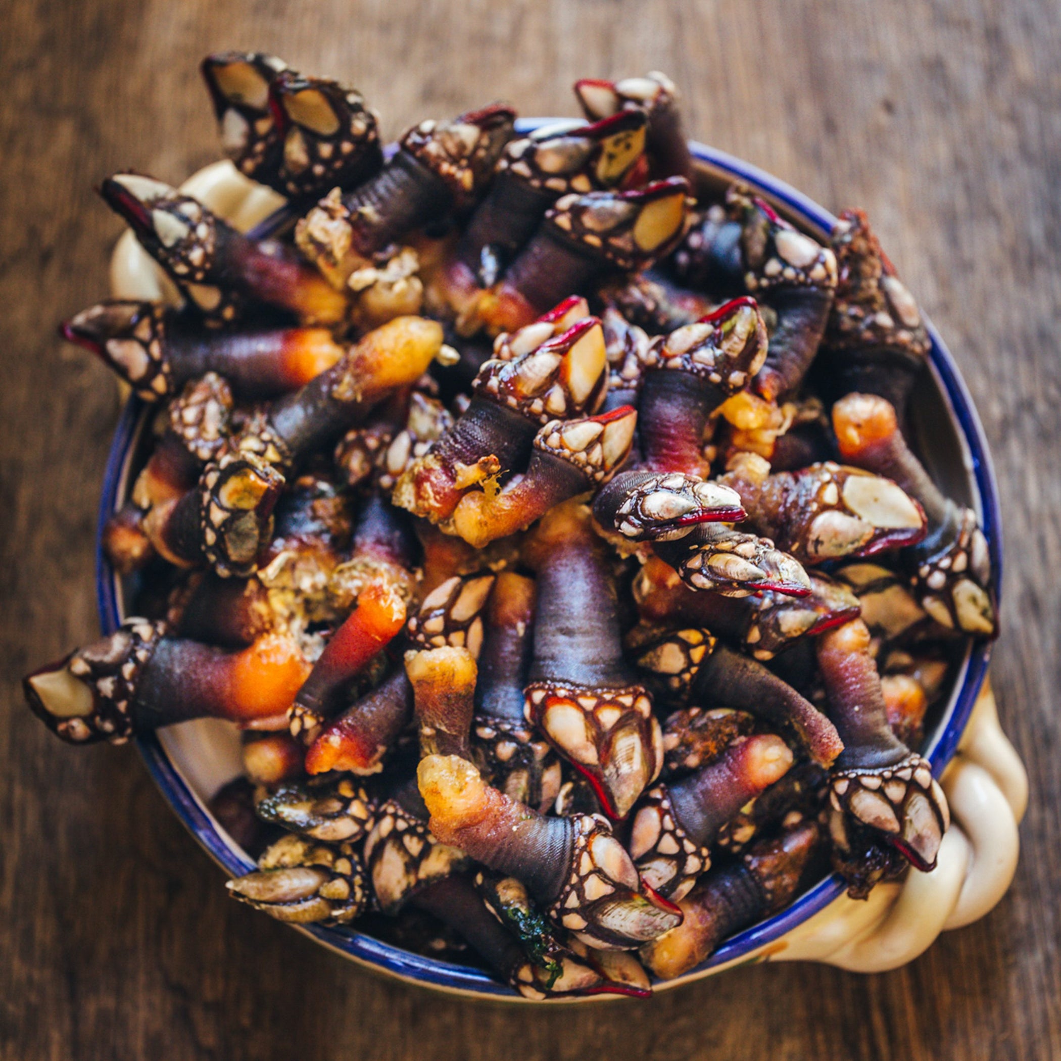 Percebes Gooseneck Barnacles | Browne Trading Company