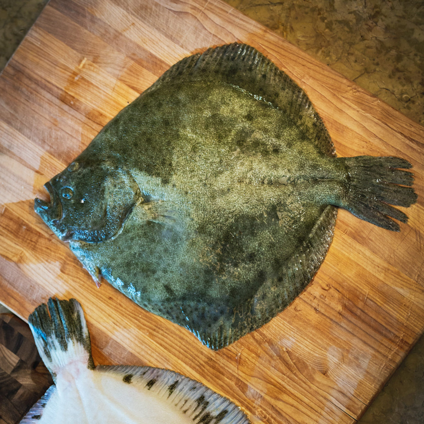 European Turbot | Browne Trading Company