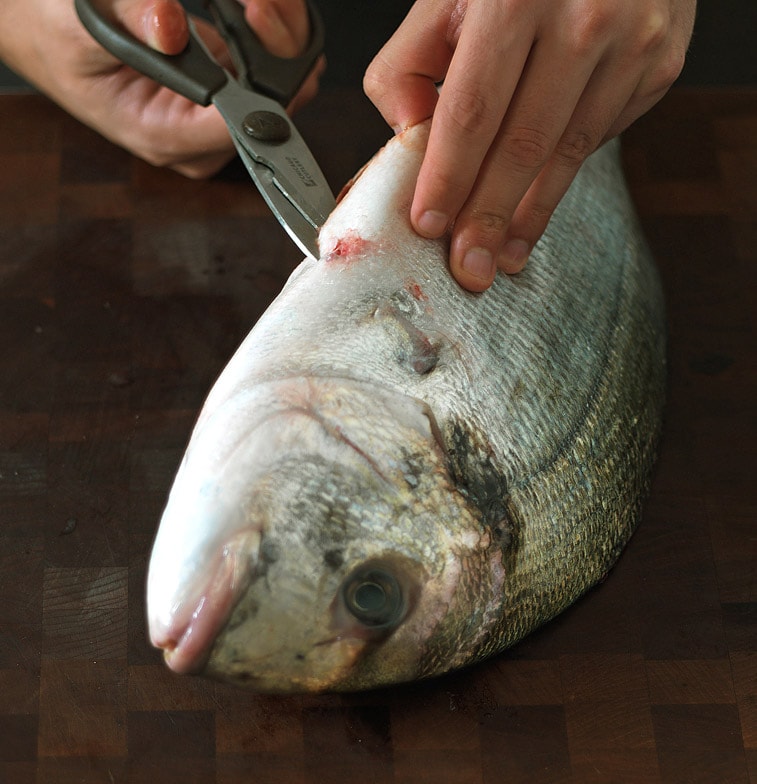 Daurade Sea Bream - Farmed - Buy Online - Next Day Delivery — Browne ...