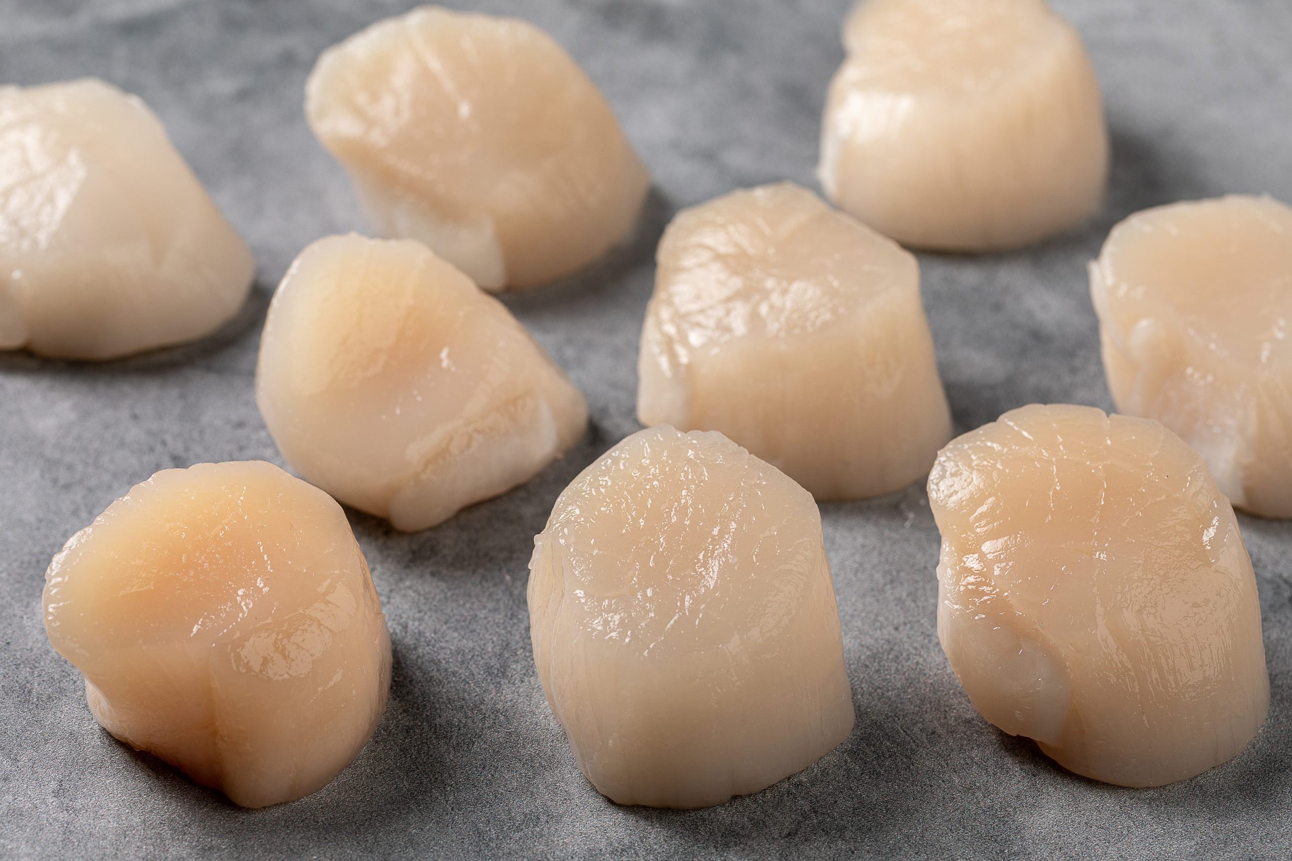 Hand-Harvested Maine Diver Scallops | Browne Trading Company